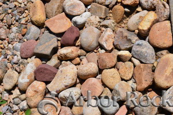 Cobbles - Arbor Rock